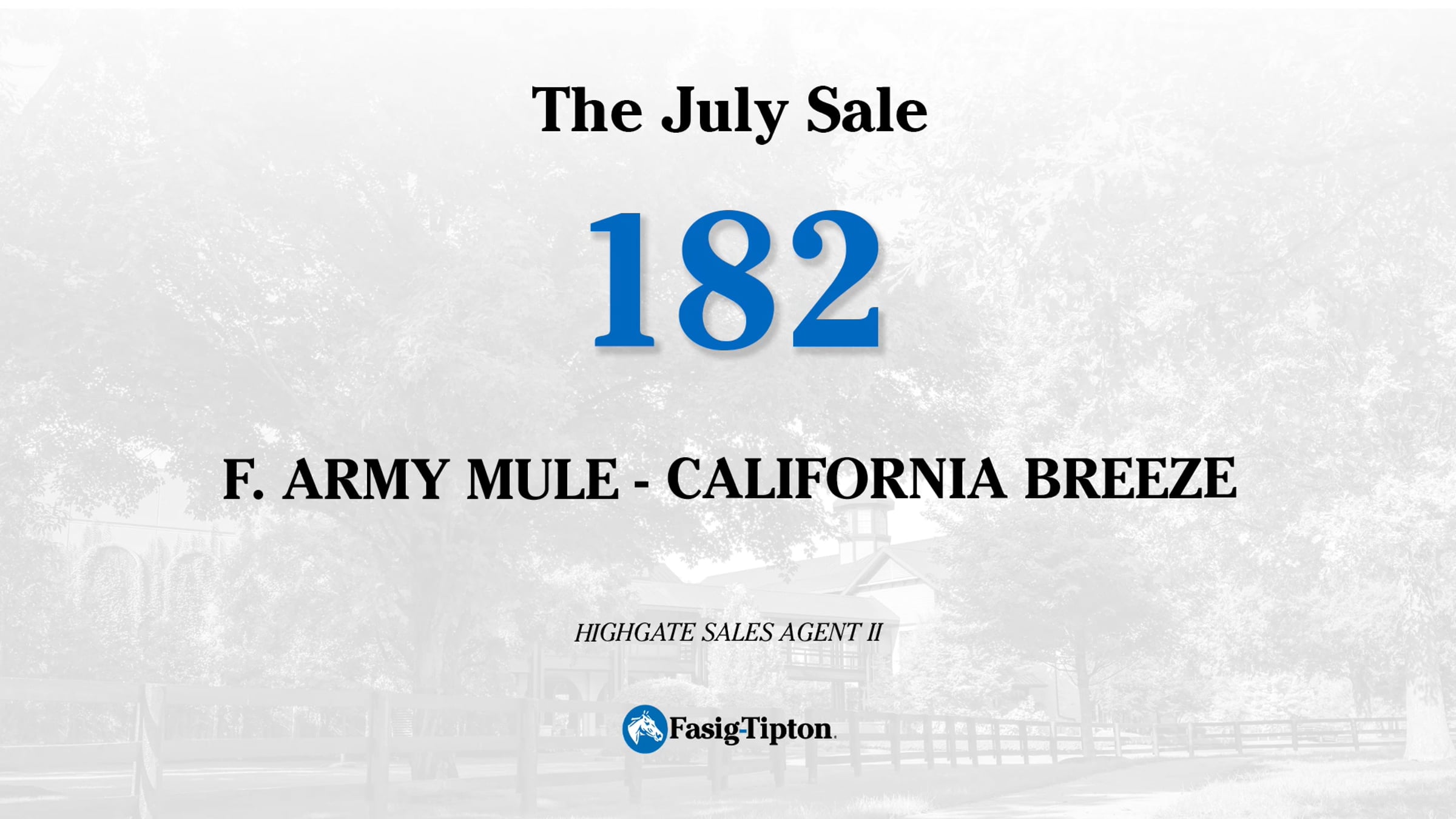 Hip 182 - FT July Sale - filly by Army Mule - California Breeze