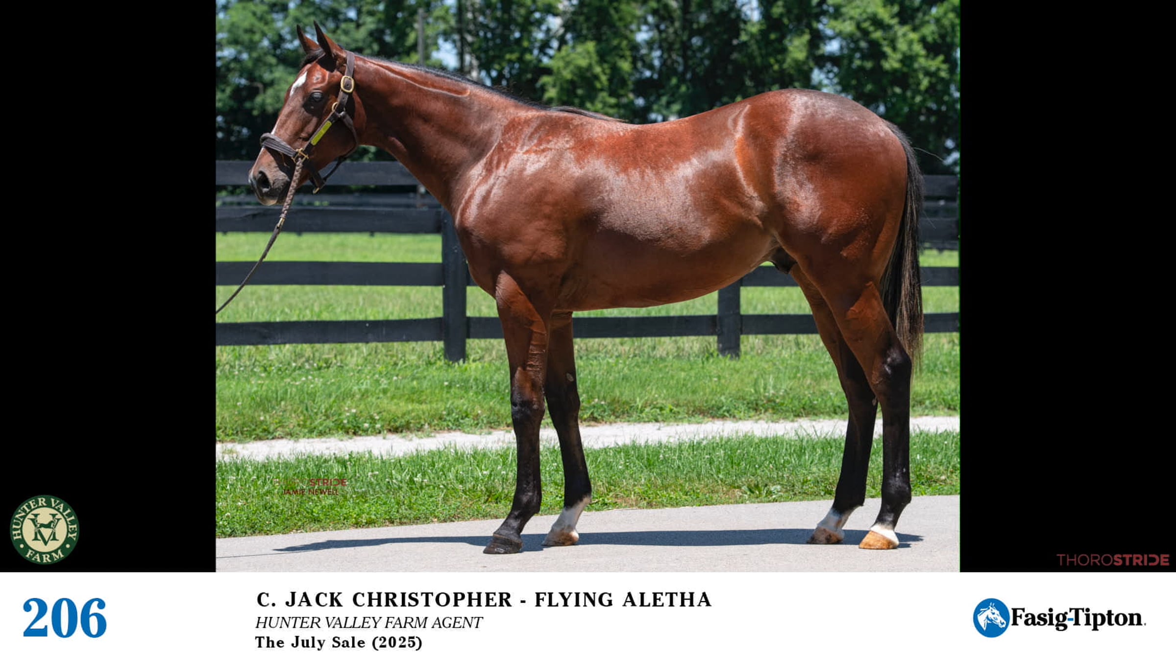 FTKJUL25, Hip 206, c. JACK CHRISTOPHER - FLYING ALETHA 24