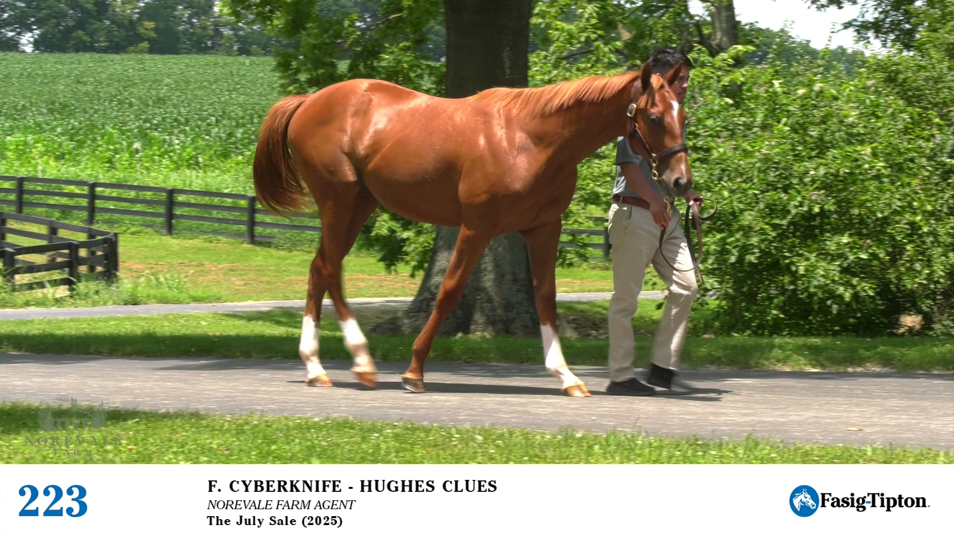 FTKJUL25_223_Hughes Clues 24 final