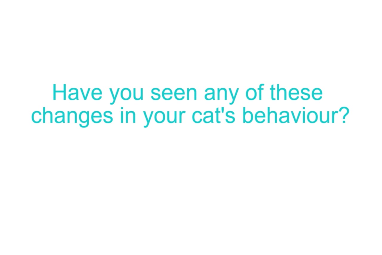 SIGNS OF FELINE OA ANIMATION VIDEO ENG