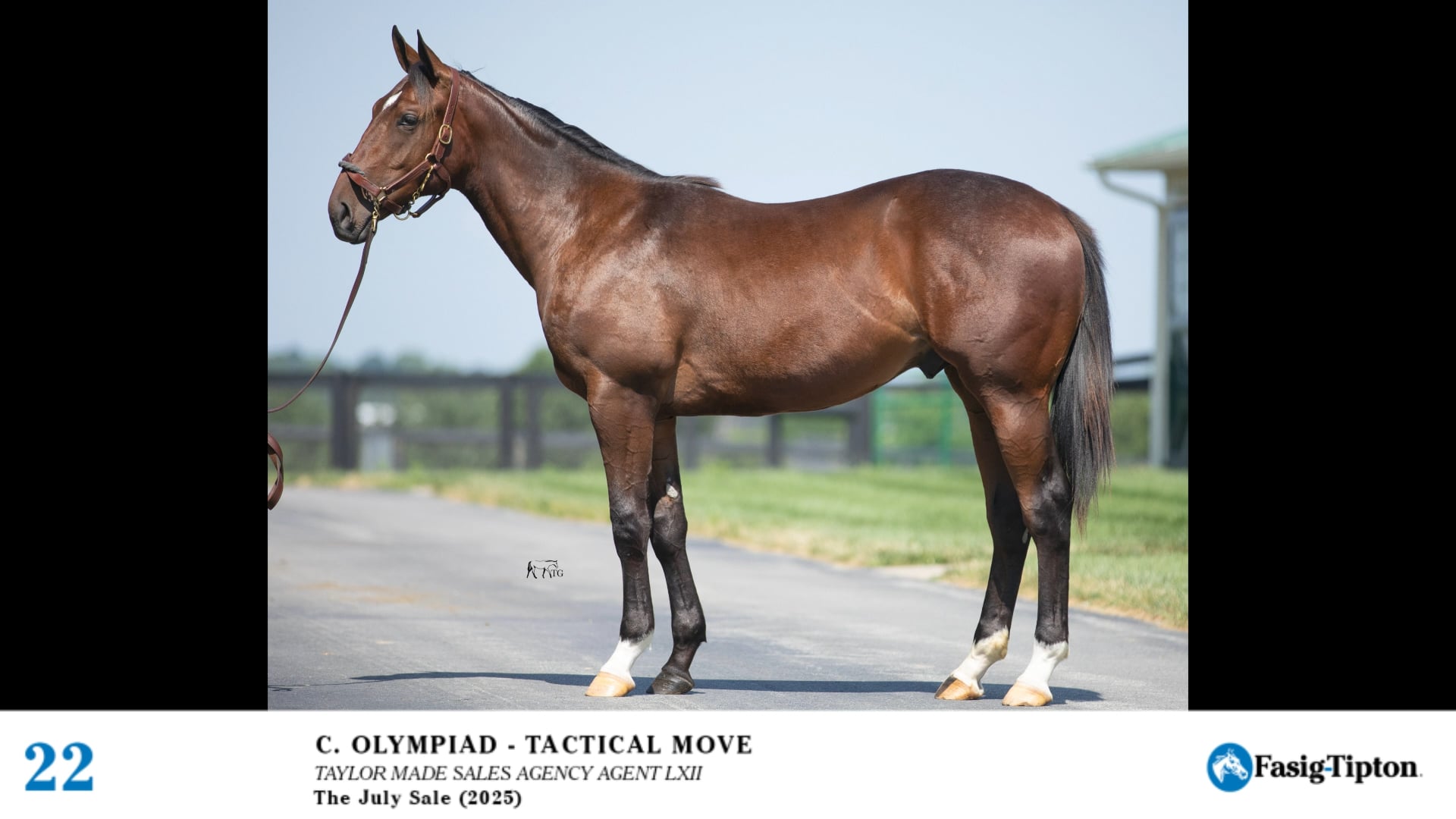 FTJULY25 22 Tactical Move 25