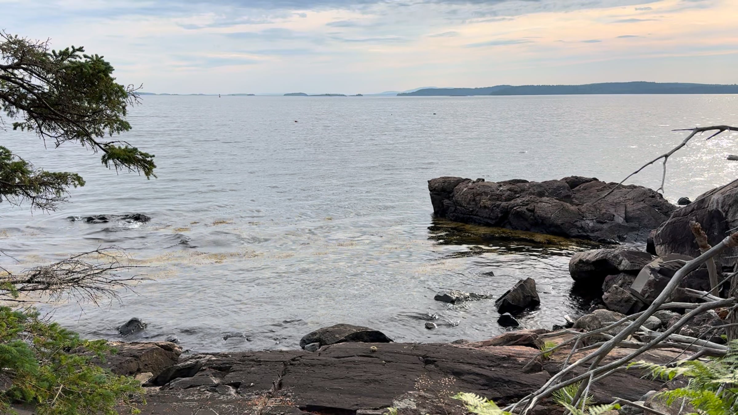 Talking to the water