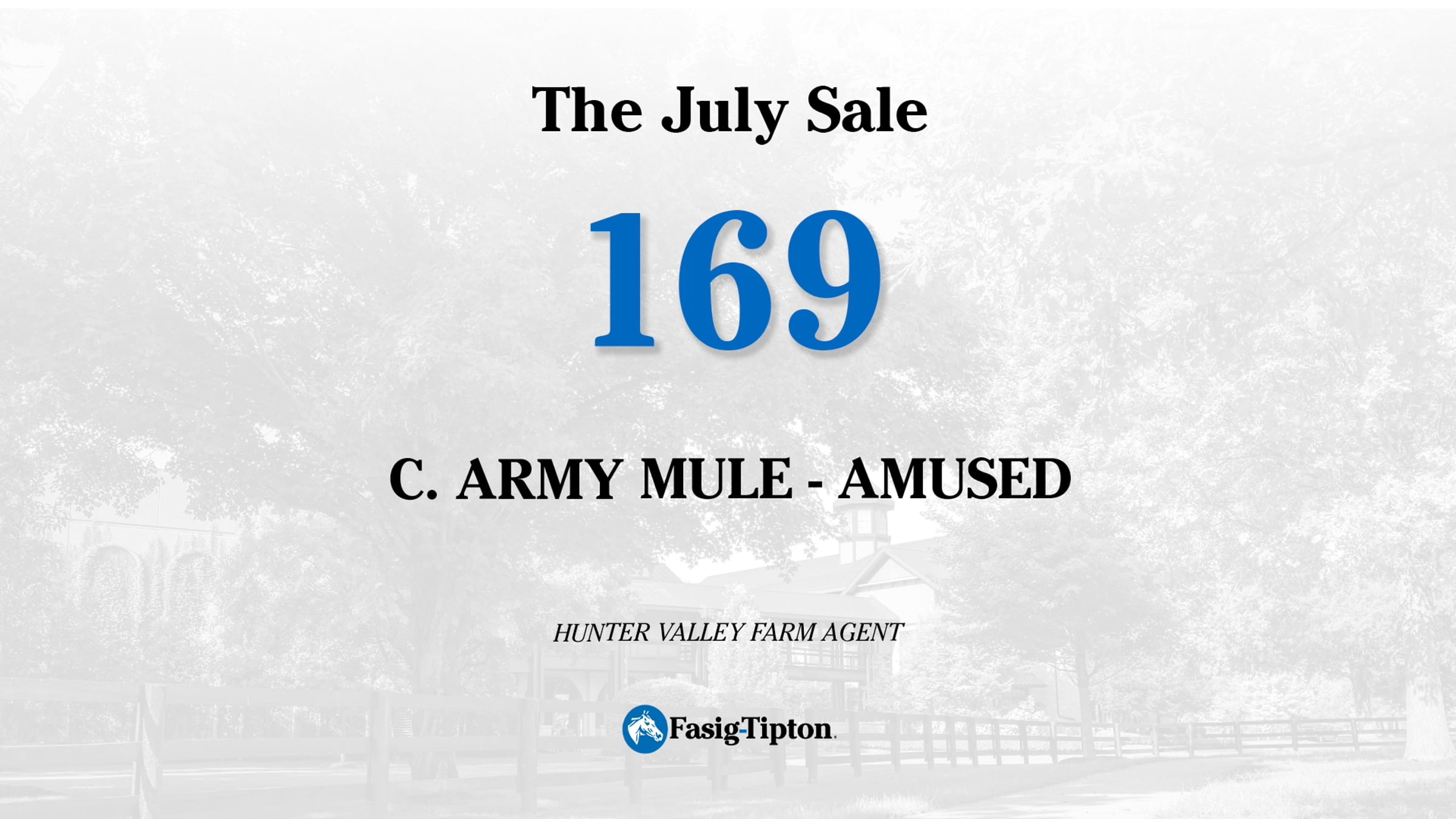 FTKJUL25, Hip 169, c. ARMY MULE - AMUSED 24