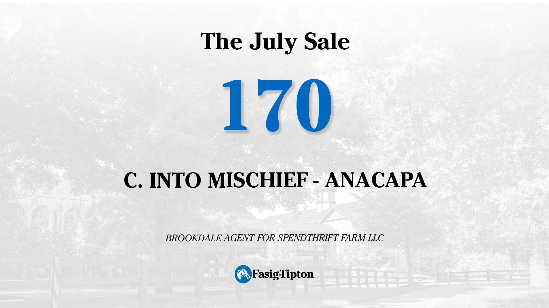 Hip 170 - FT July Sale - colt by Into Mischief - Anacapa