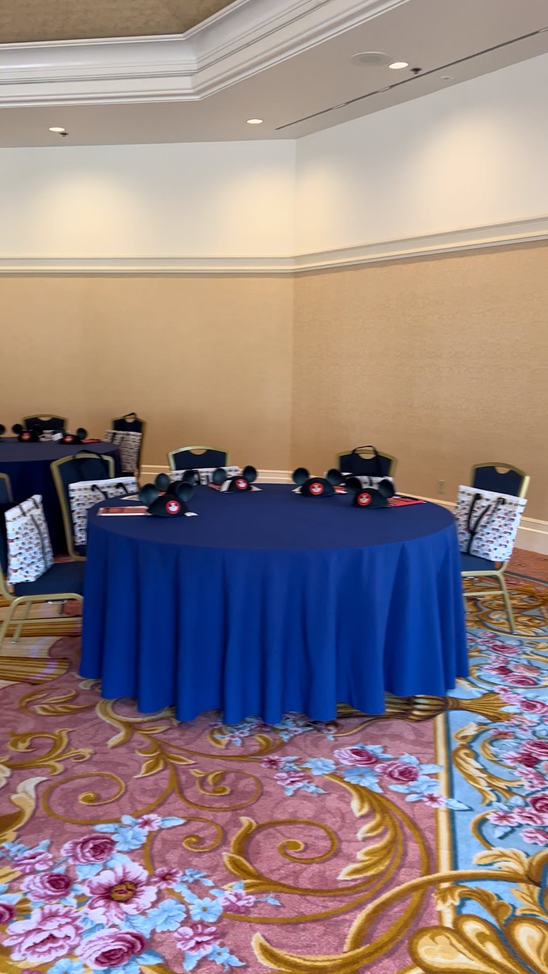 RDT grand Floridian training room