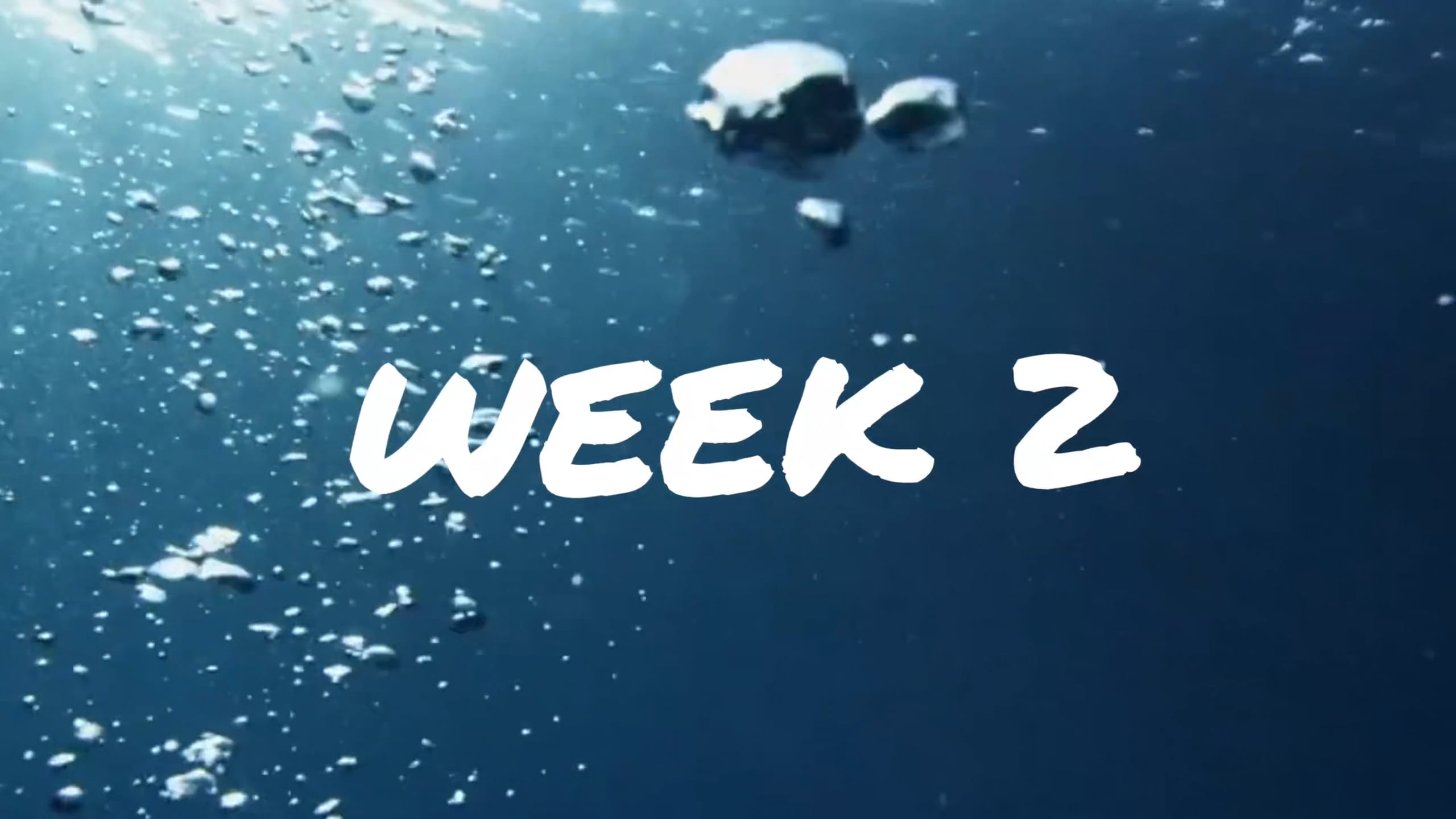 Jeff Lake Camp: Week 2 Highlights!