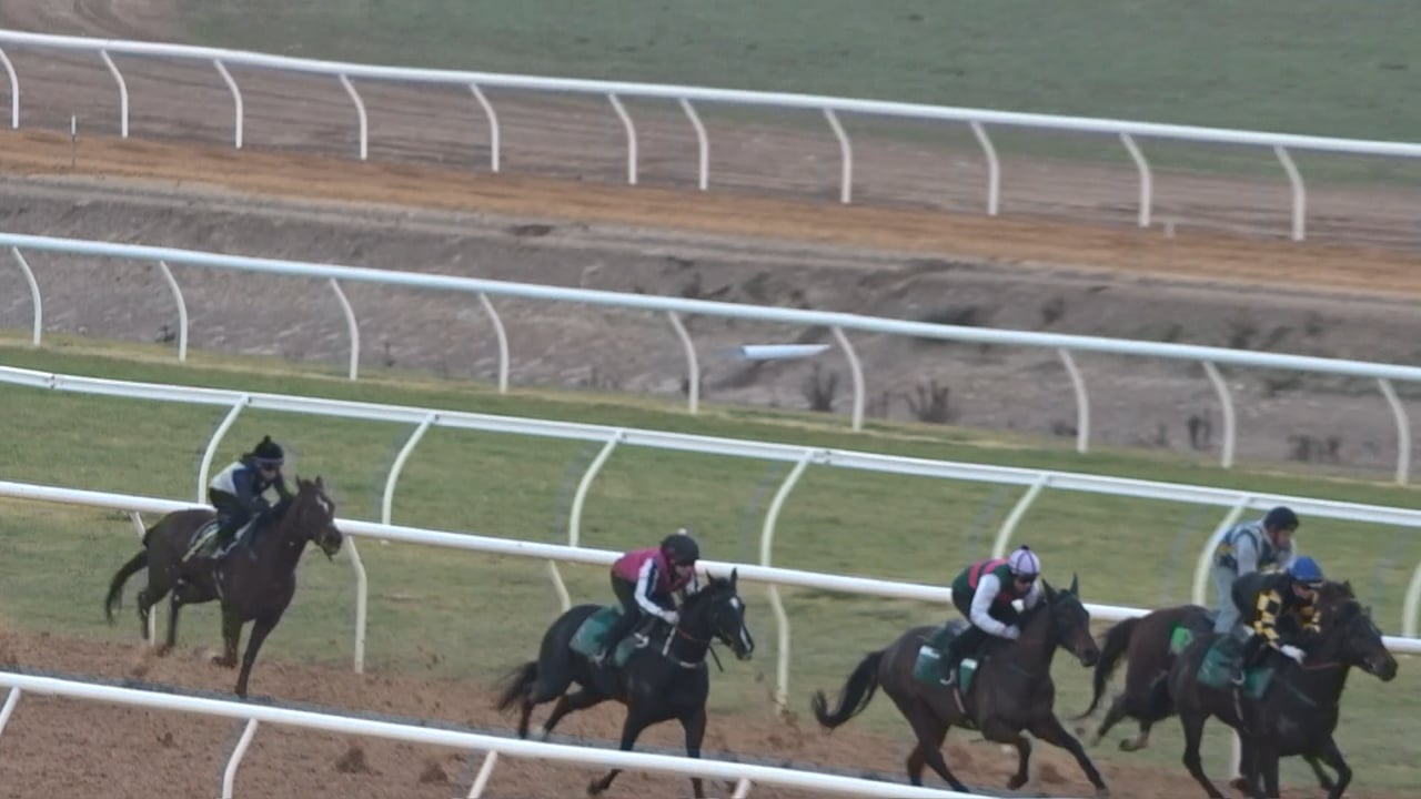 07/07/2025 Murray Bridge • Racing SA