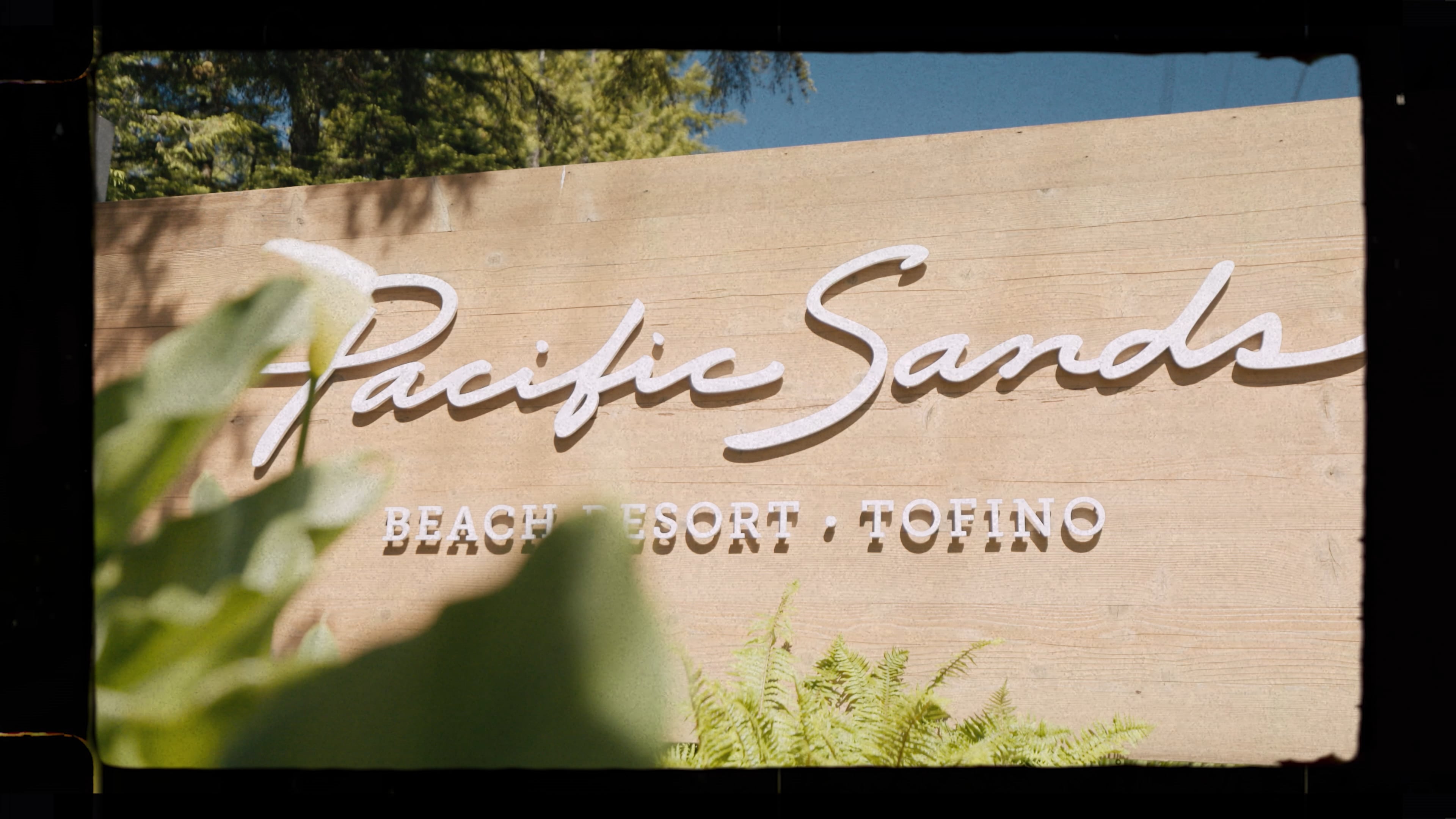Pacific Sands Video 1