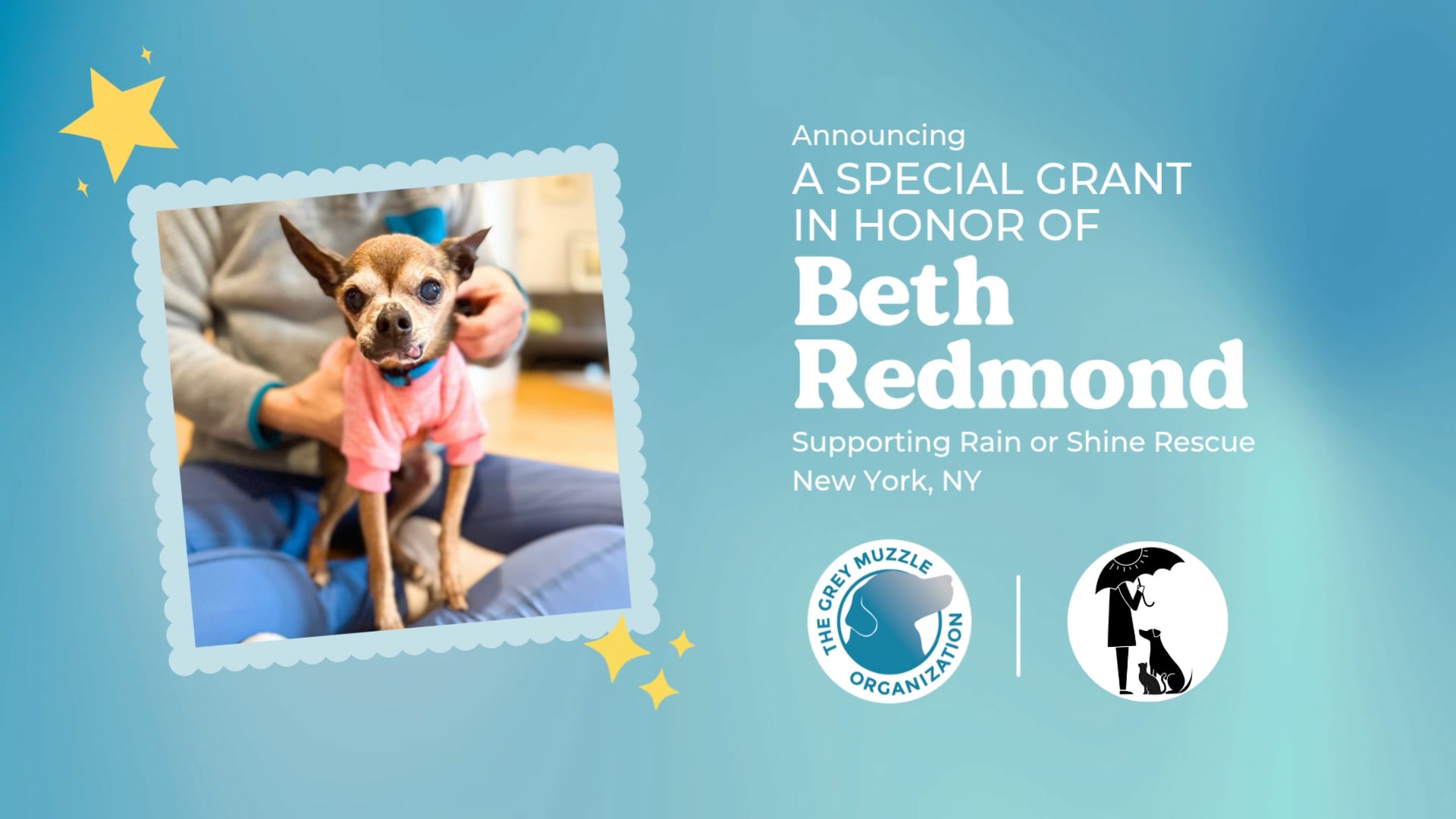 Beth Redmond Special Grey Muzzle Grant 2025