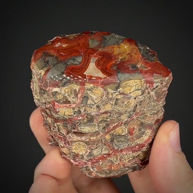 Coprolite fossil with Hyalite Opal | Utah, USA