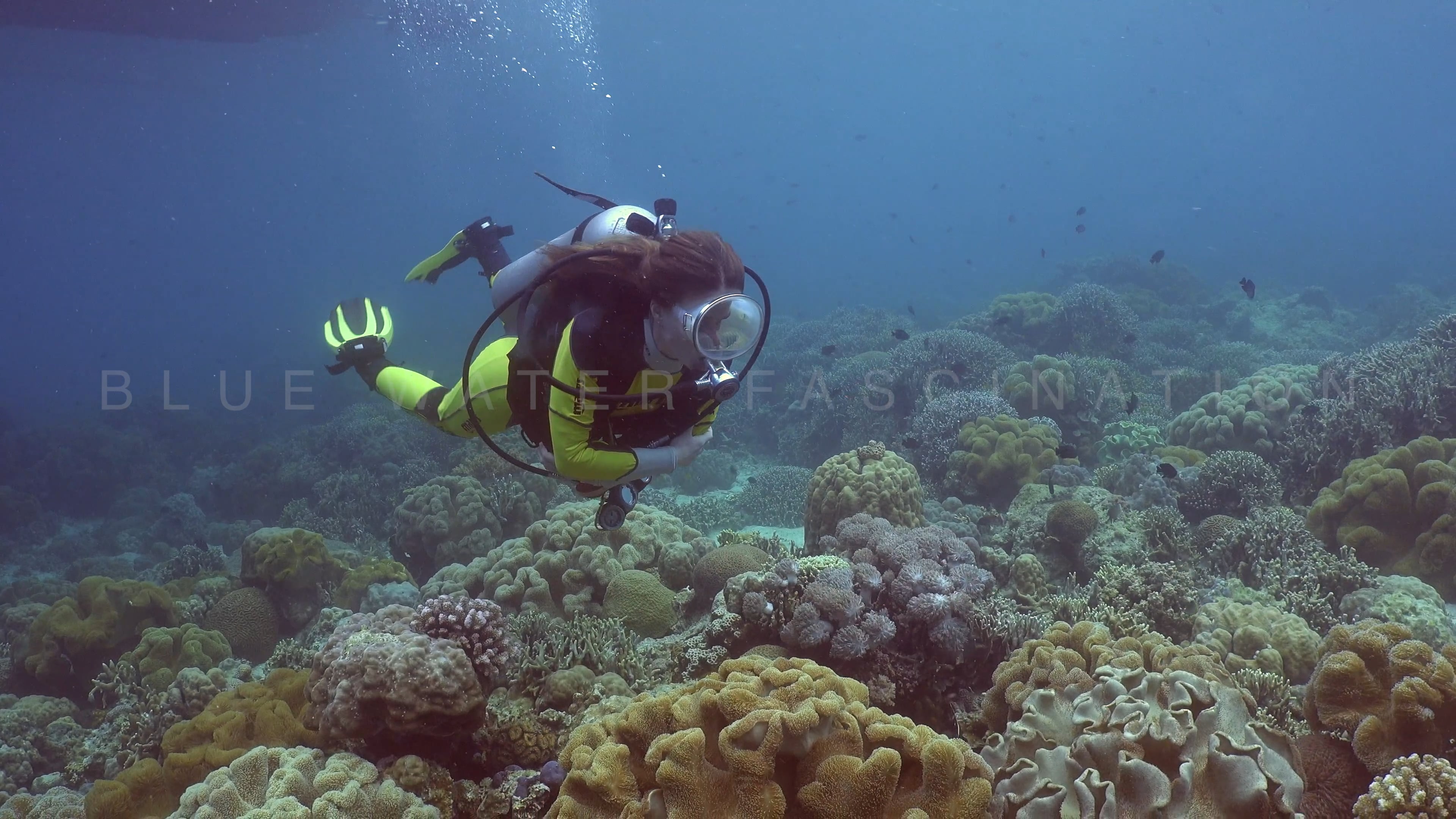 1415_female_scuba_diver_leather_corals_sample
