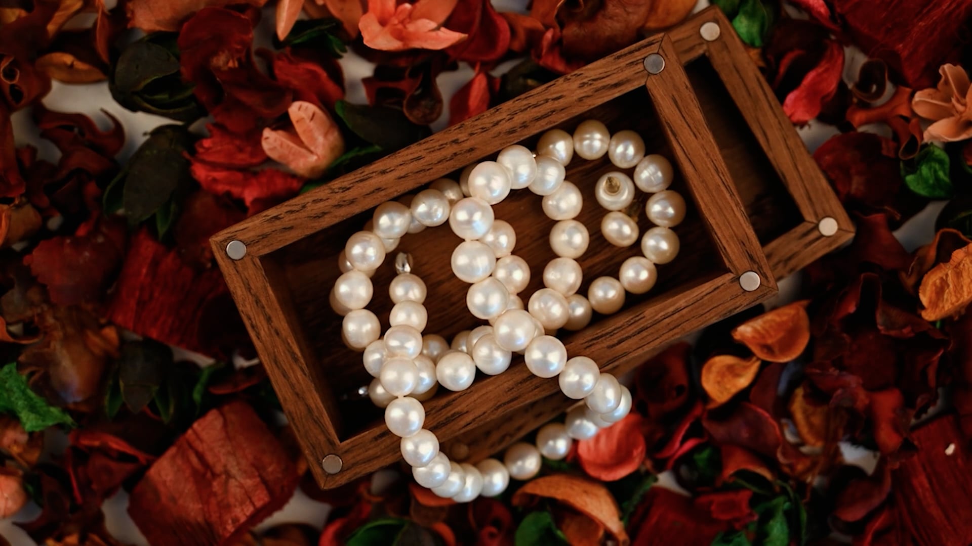 WOTG_Dr Shelia Nash-Stevenson