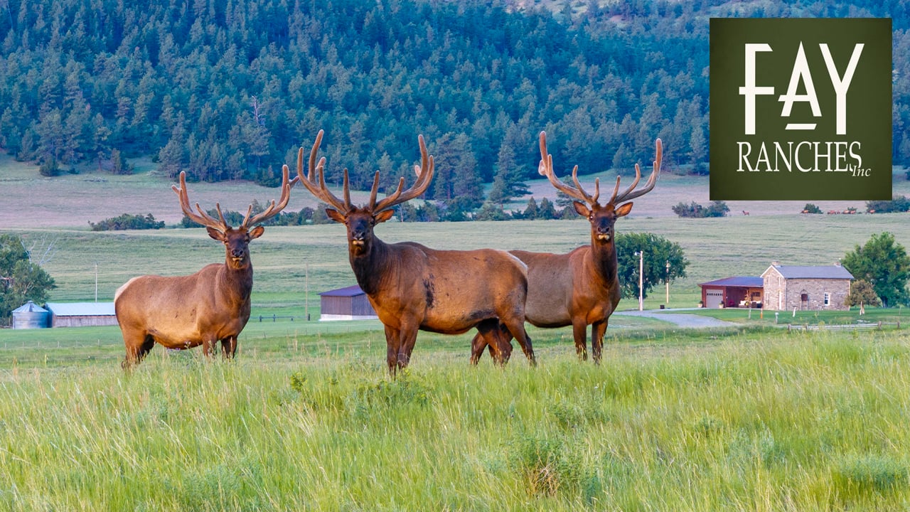 Stonehouse Ranch | Reed Point, Montana