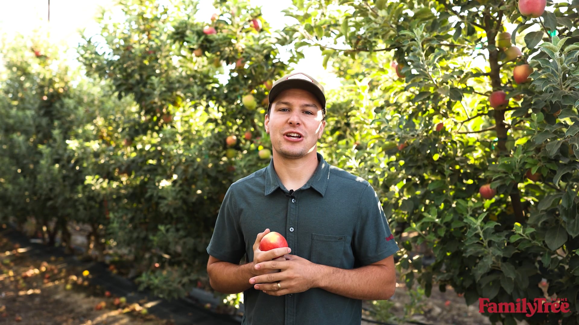 Sugar Burst | Videos & Movies on Vimeo