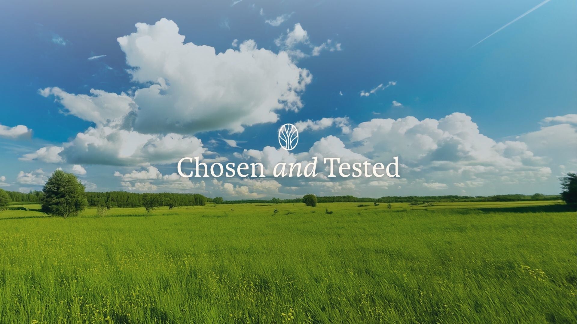 The Provision and Lack Test | Trinity Fellowship Church