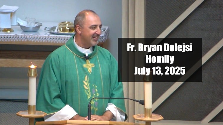 Fr Bryan Homily July 13 2025