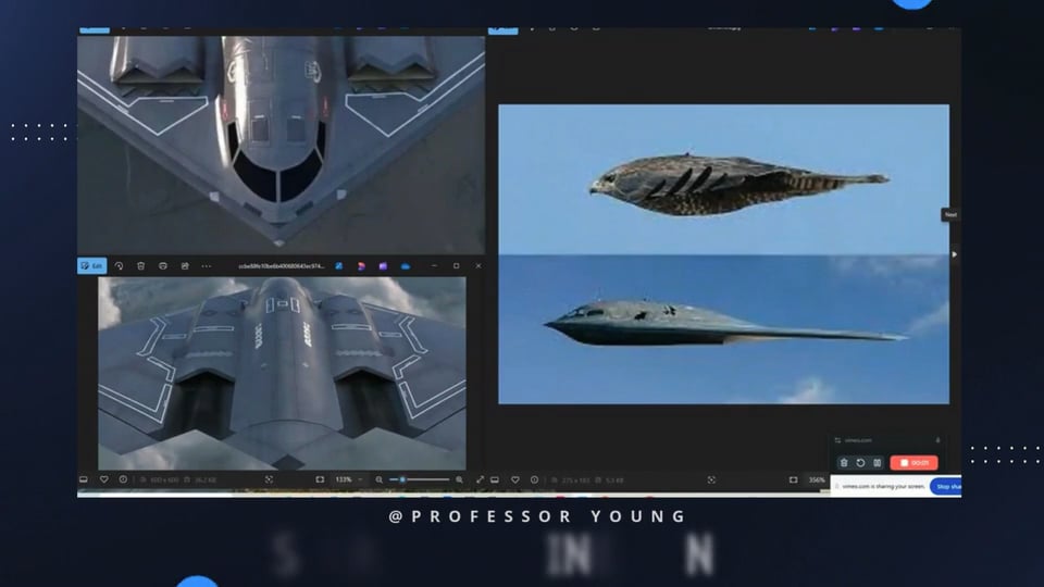 Construction of the Avionic Section of Stealth Aircraft and Mirror of ...