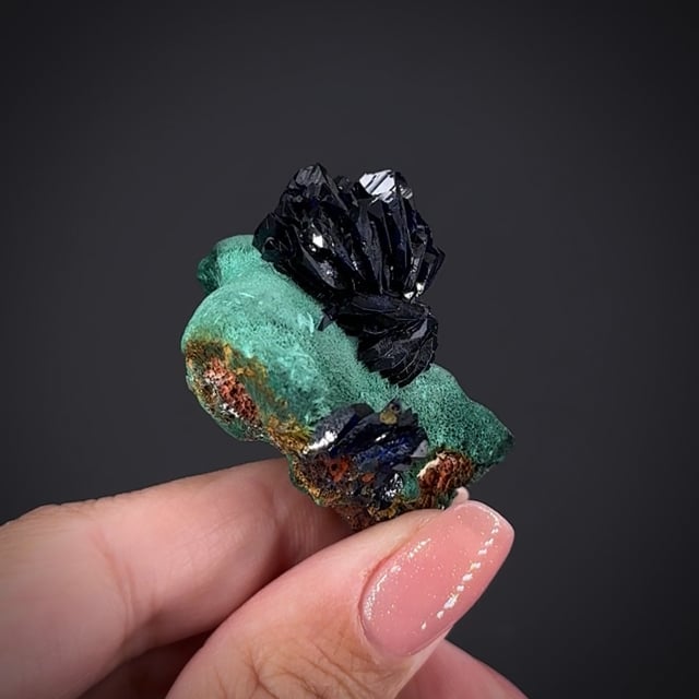 Azurite "rose" on Malachite - SM25-064 - Bisbee - USA Mineral Specimen