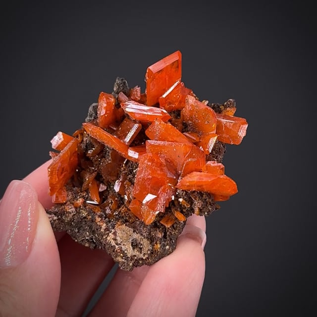 Wulfenite - SM25-055 - Red Cloud Mine - USA Mineral Specimen