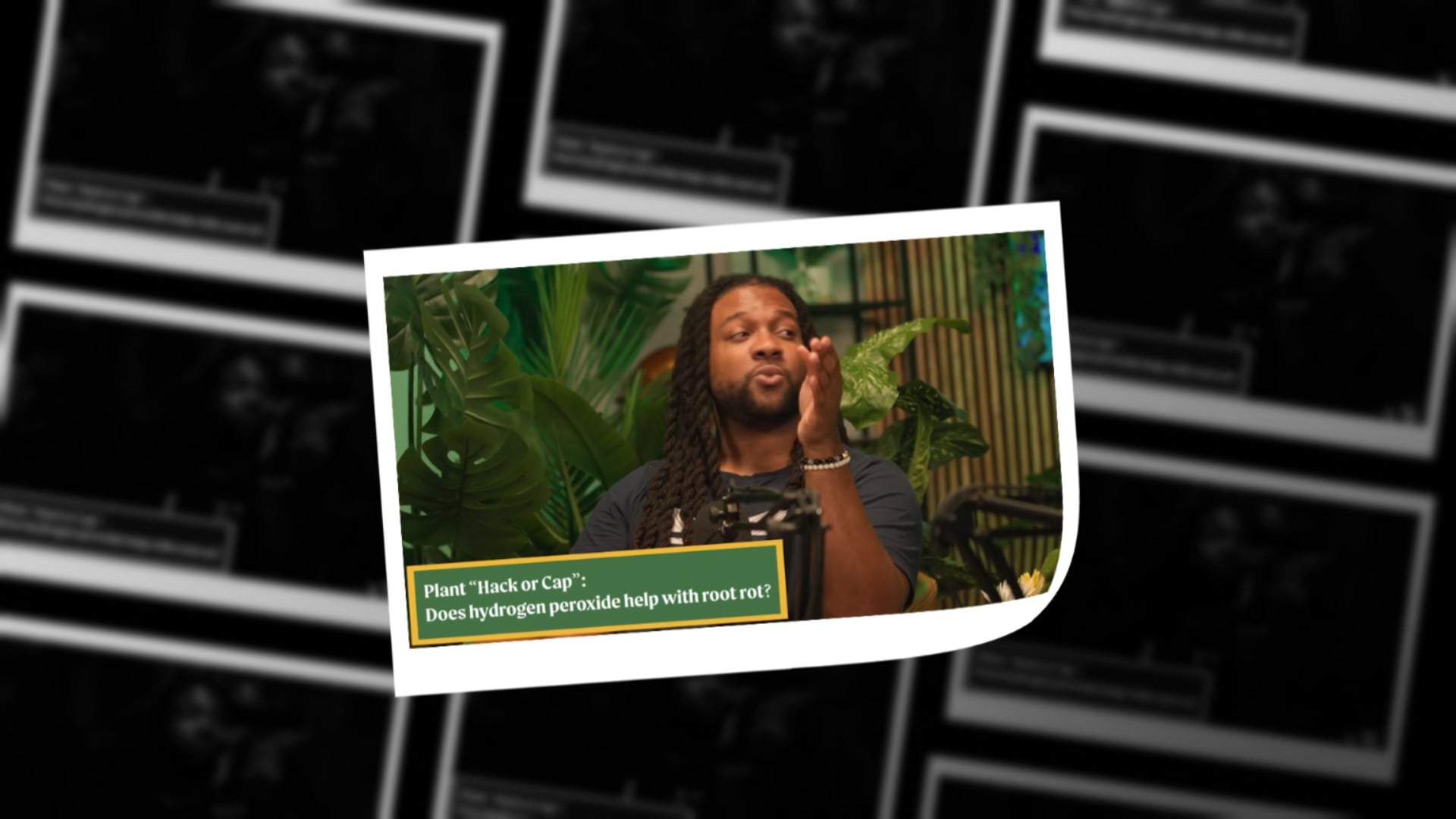 Watch Seed TV Online | Vimeo On Demand on Vimeo