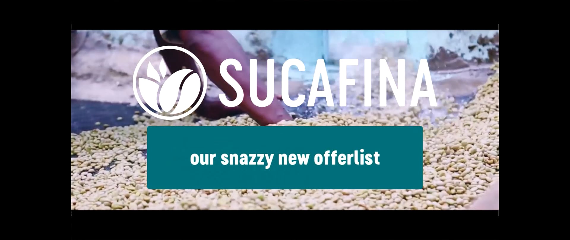 2025 Our Snazzy New Offerlist