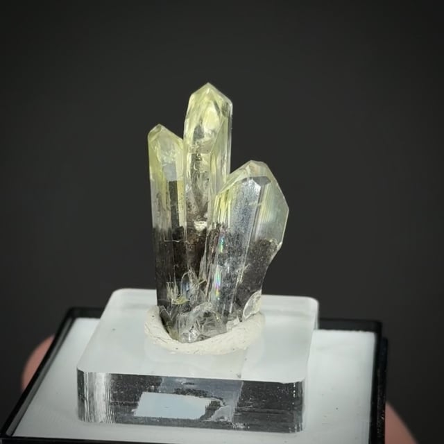 Dr. Stephen Smale Collection Auction
