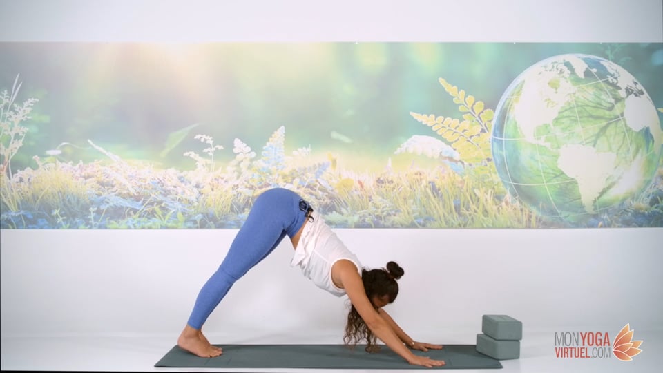 Vinyasa à l'horizontal | Mon Yoga Virtuel