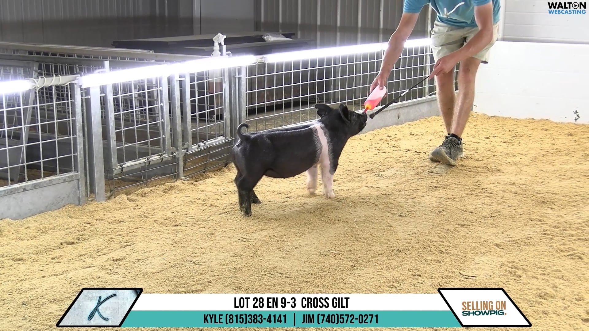 Lot 28 Knauth July 22