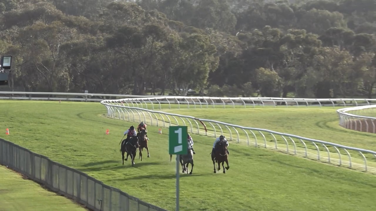 17/07/2025 Strathalbyn • Racing SA