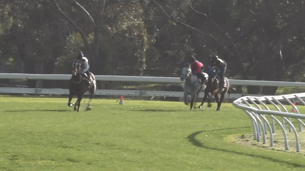 17/07/2025 Strathalbyn • Racing SA