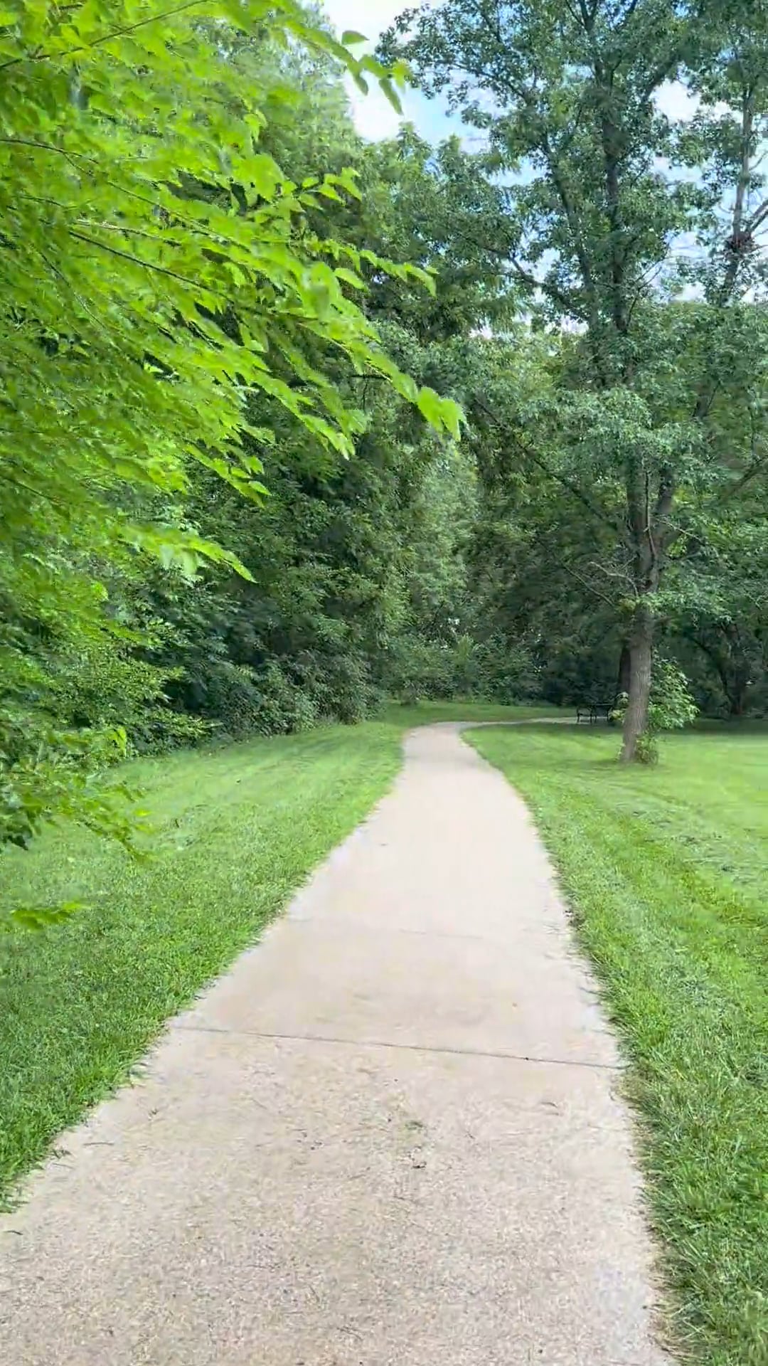 Friday Video: Solace