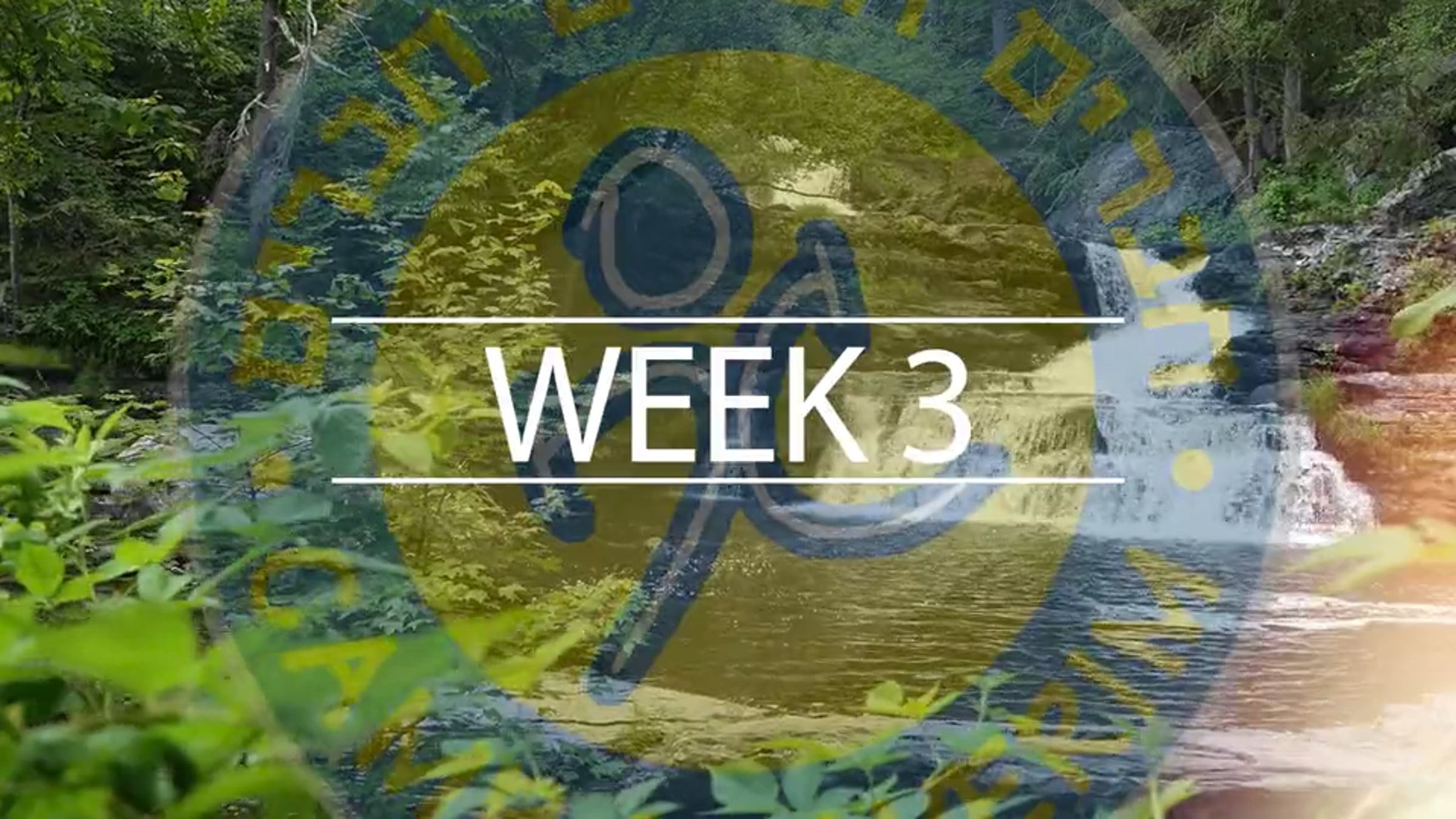 Camp Chaverim 2025- Week 3