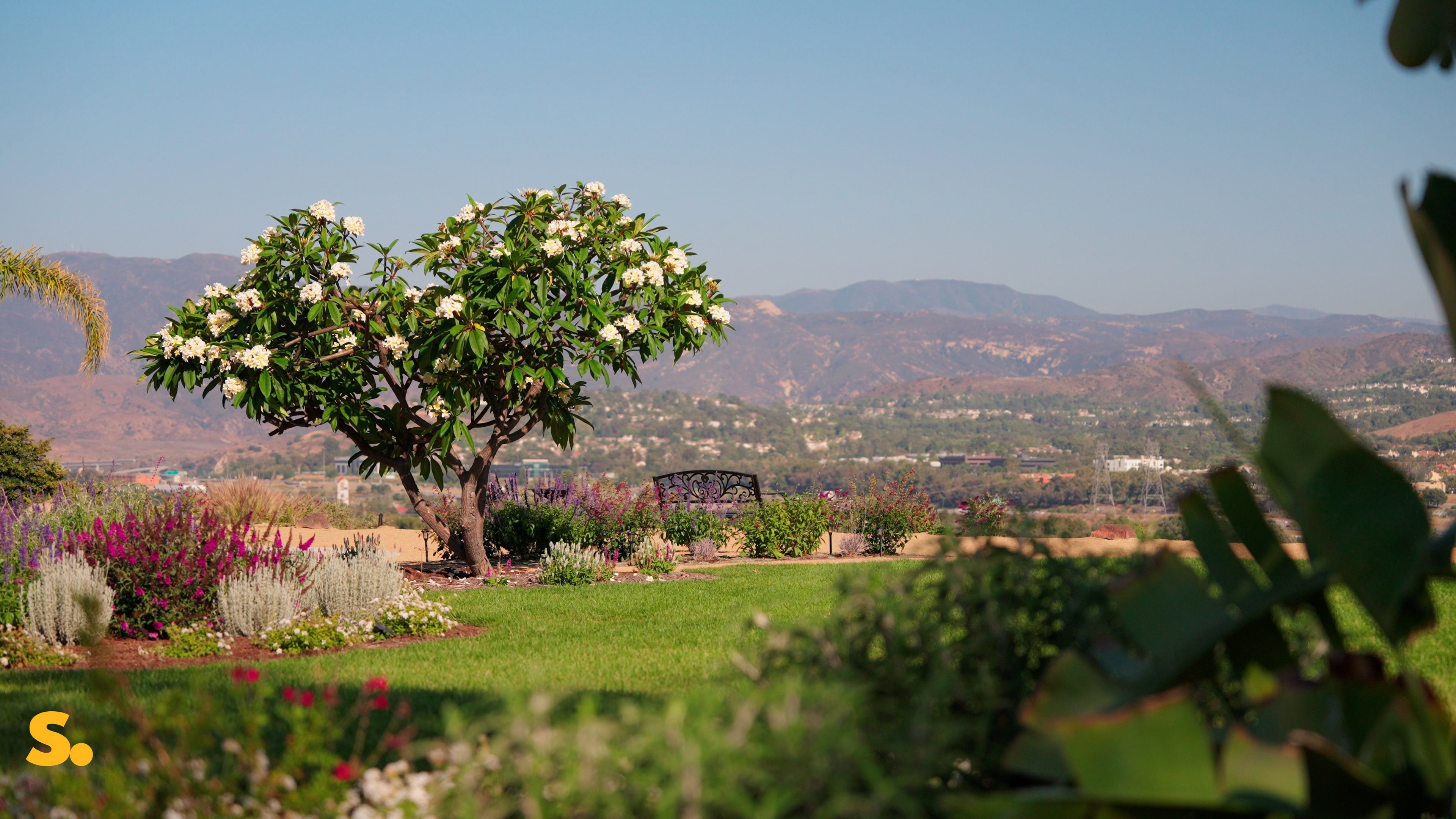 5795 Via Perla | Yorba Linda