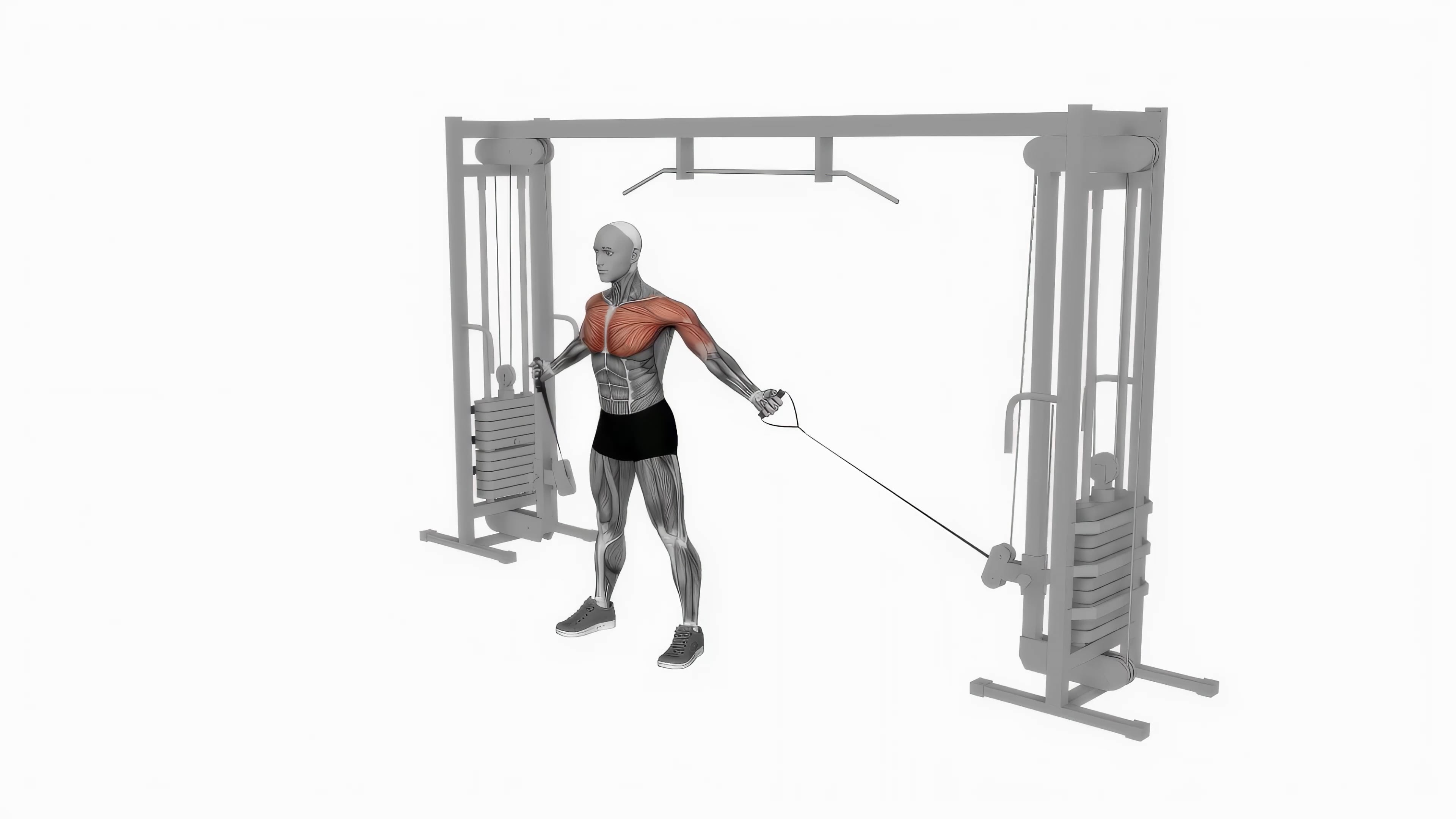 Cable Upper Chest Crossover