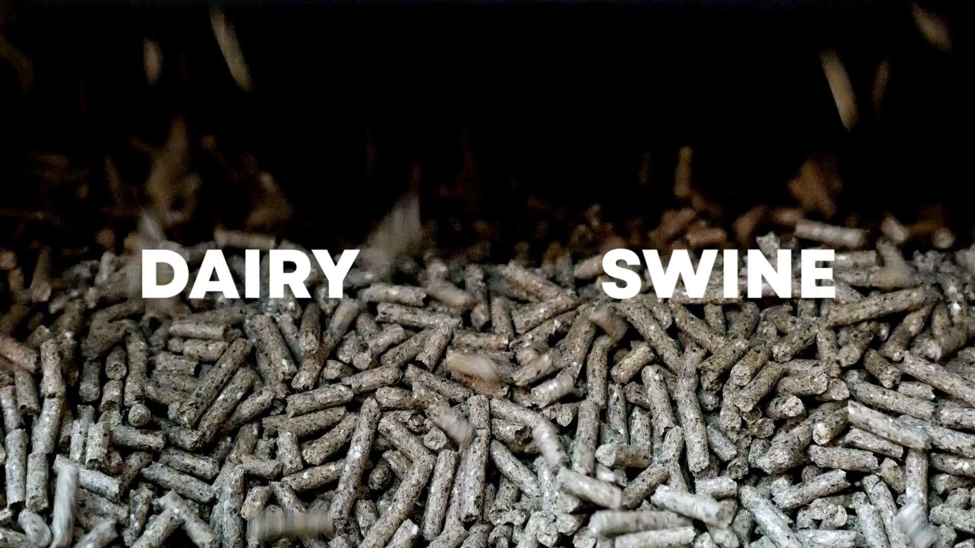 Contact Us | Dr. Lee Feeds