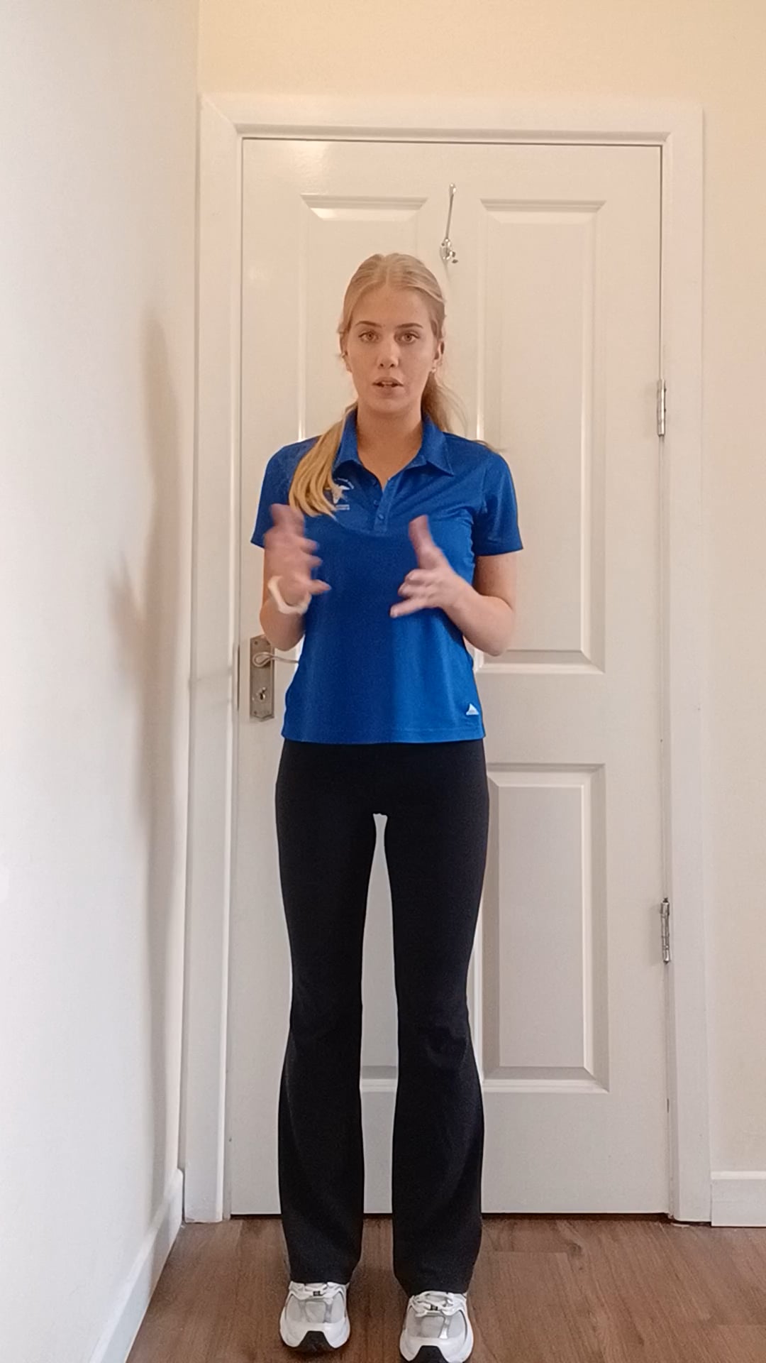 Single Leg Dips (No Step) KB