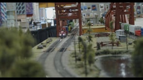 Shows and Events