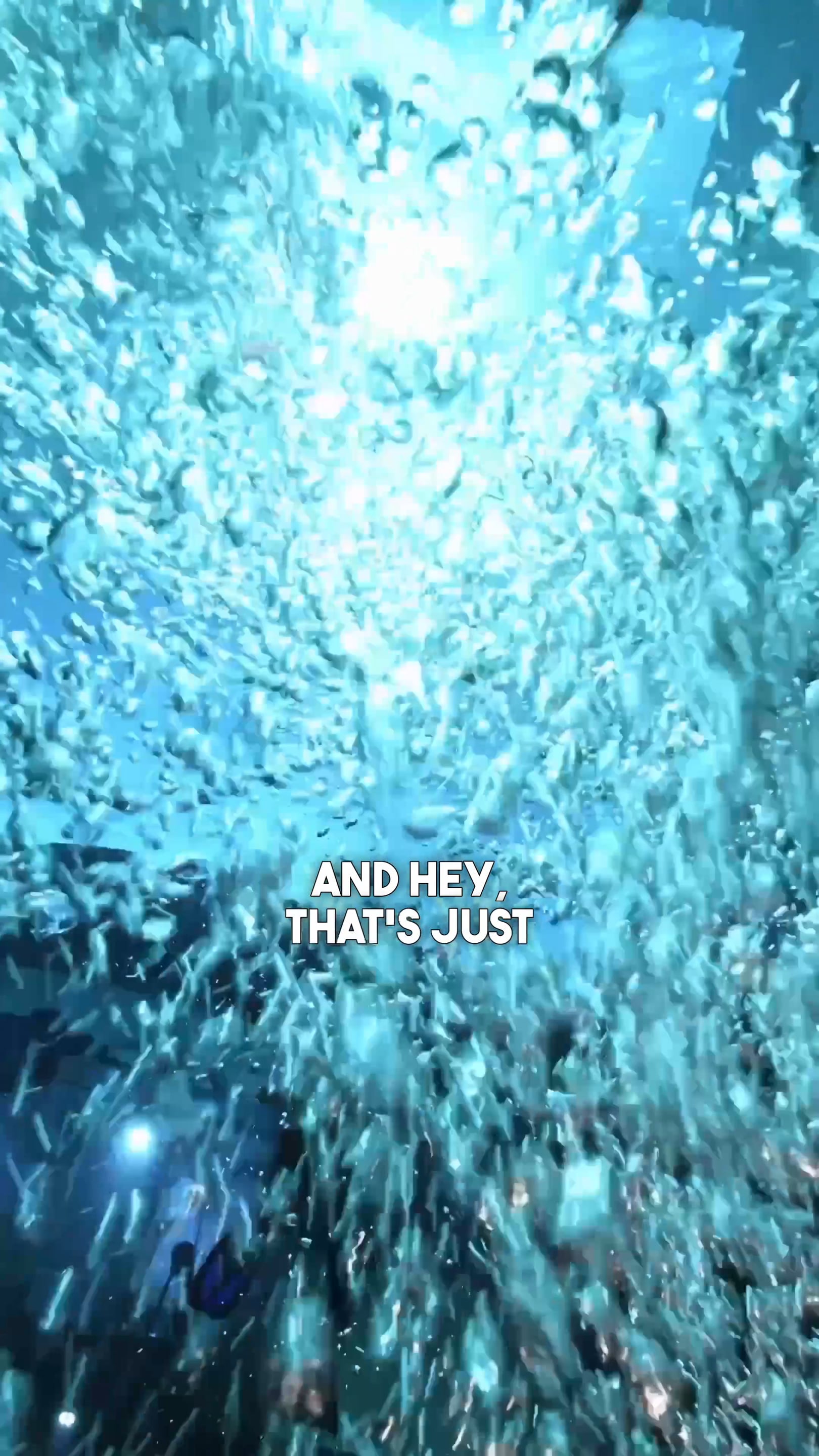 DET - Deep Dive Dubai