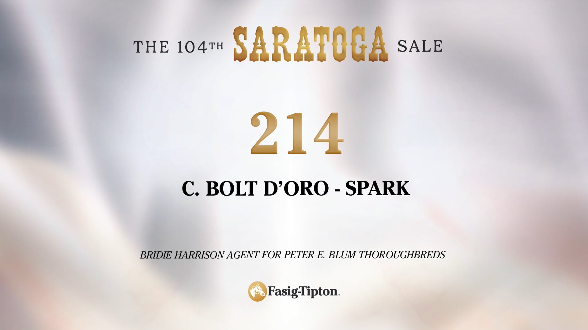 Hip 214 - FT Saratoga Sale - colt by Bolt d'Oro - Spark