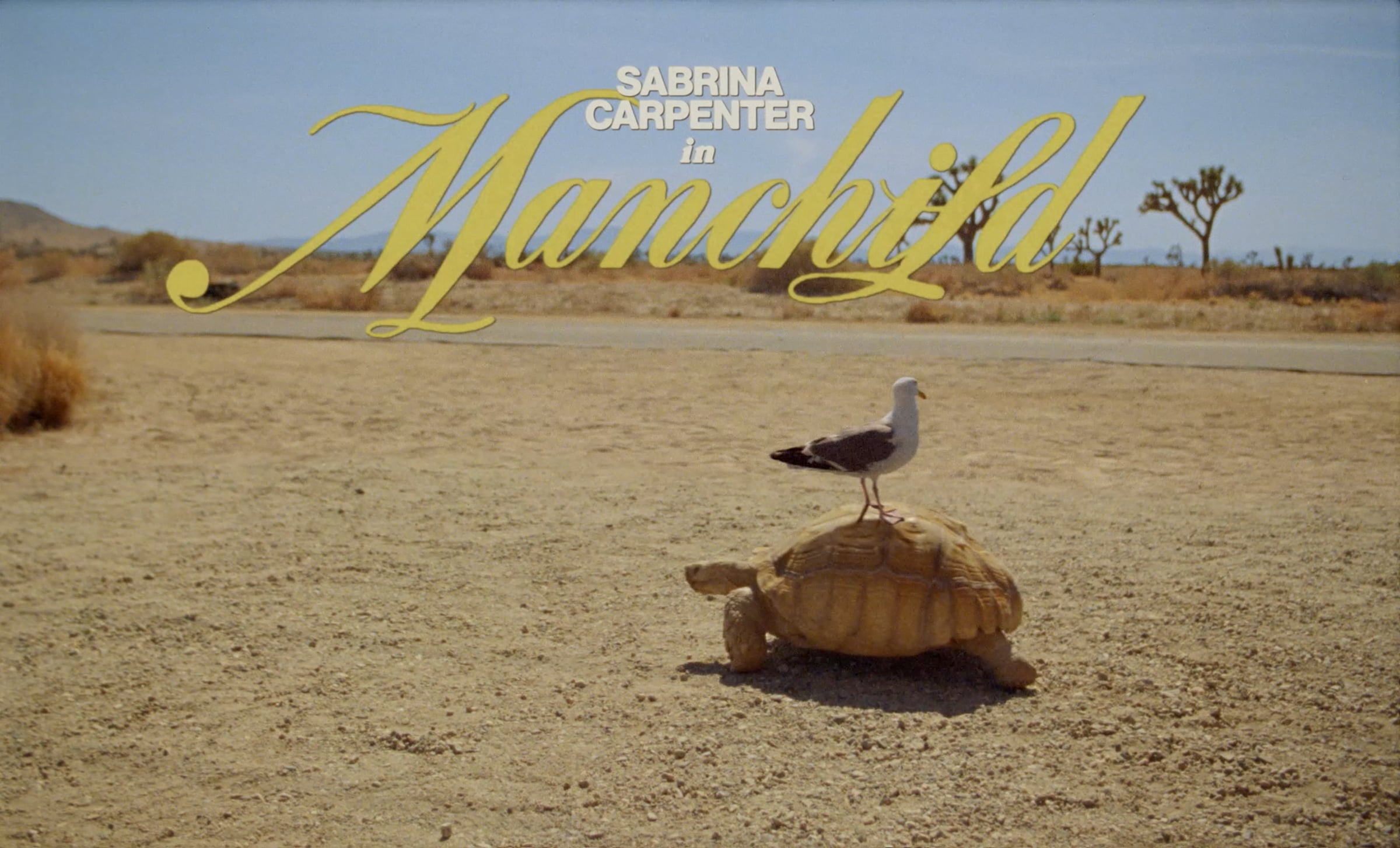 Sabrina Carpenter // Manchild