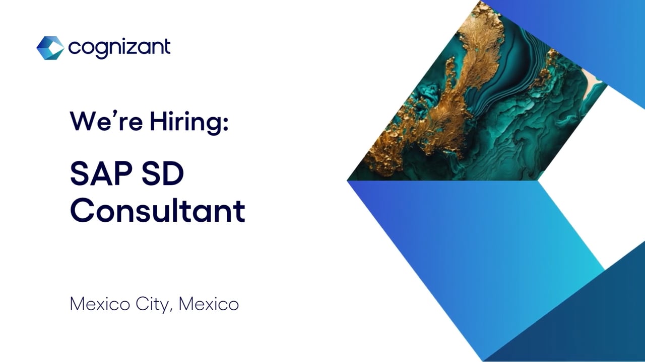 SAP SD Consultant