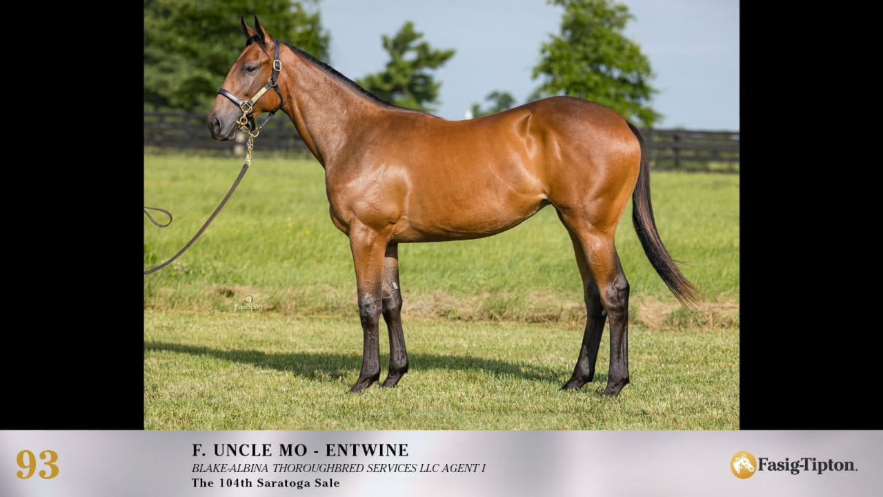 Hip 93 FT Sar Uncle Mo - Entwine | Videos & Movies on Vimeo