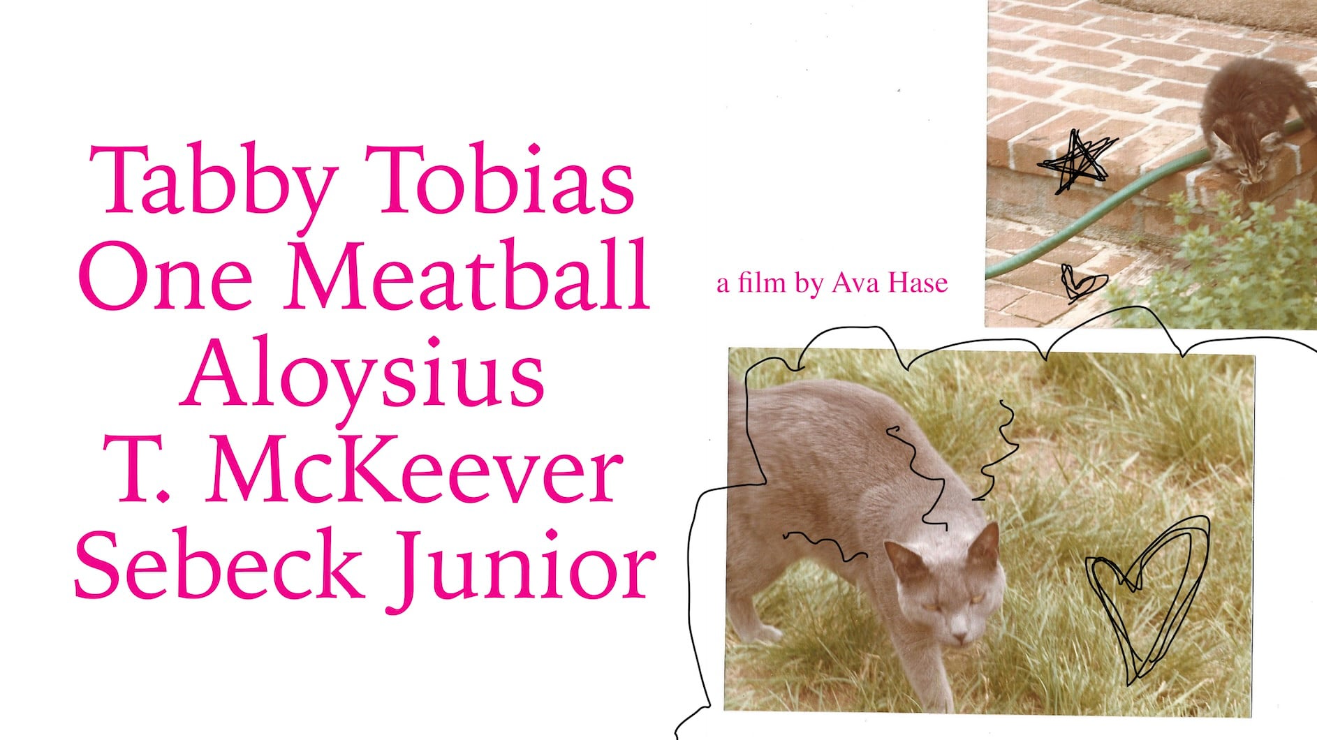 Tabby Tobias One Meatball Aloysius T. McKeever Sebeck Junior