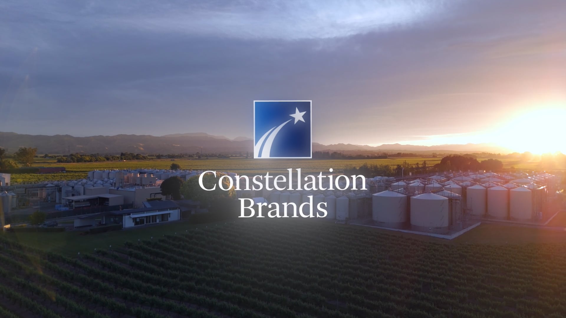 Constellations Brands: Cellar