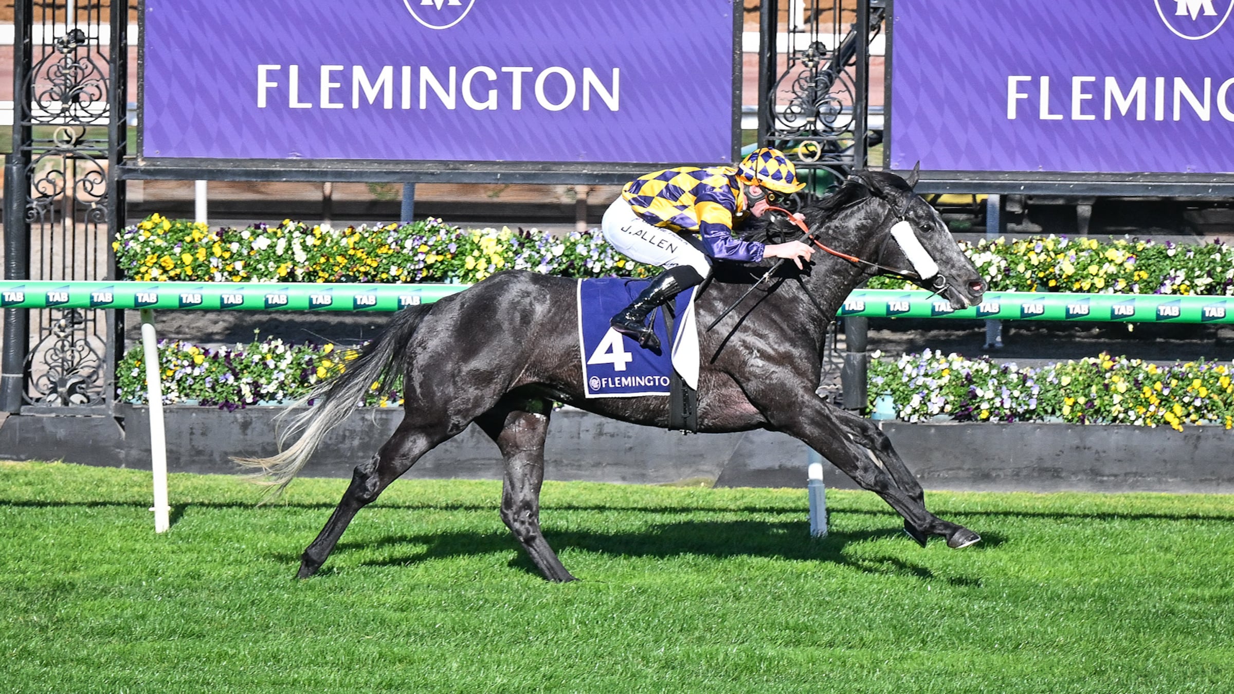 HDR Stable Update - Friday 25 July