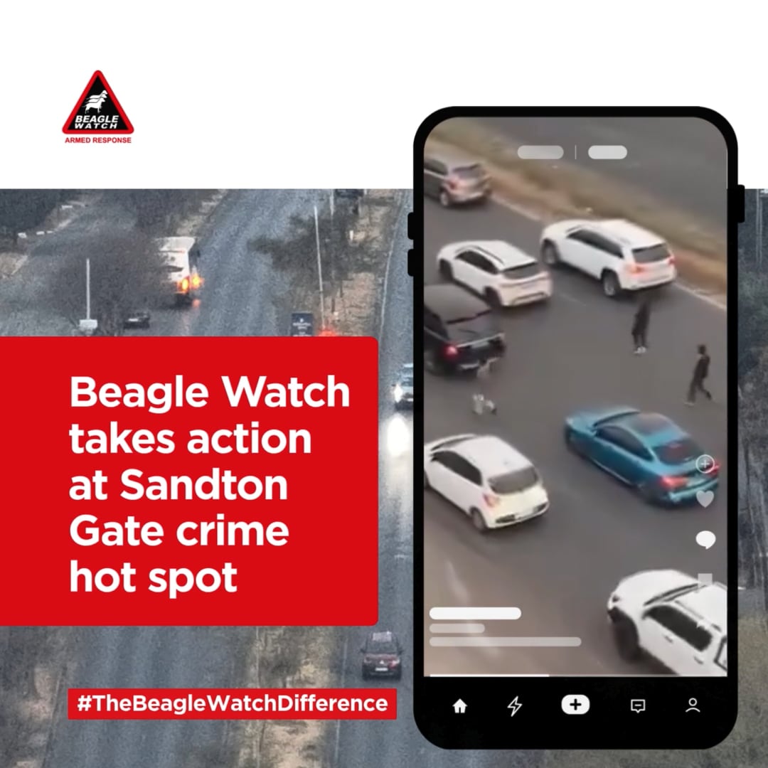 Beagle Watch Takes Action at Crime Hot Spots | Videos & Movies on Vimeo