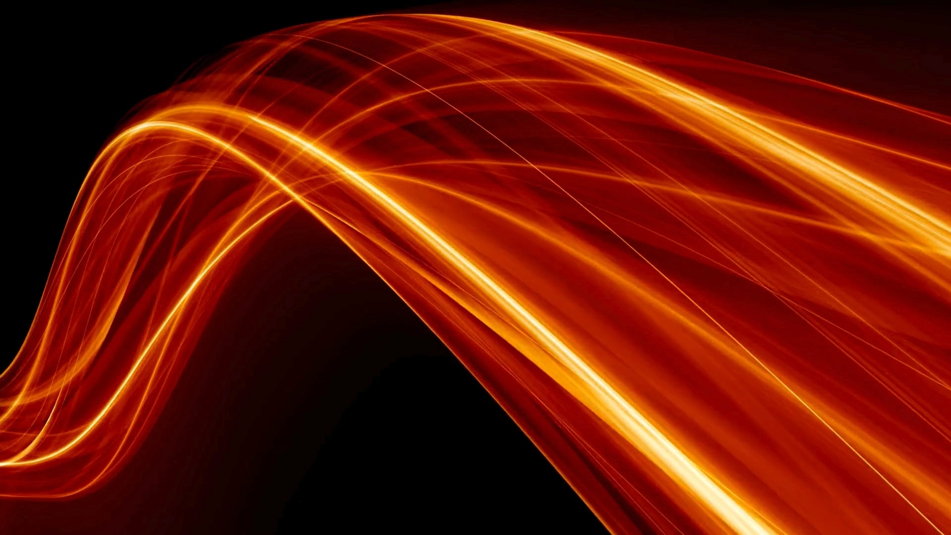 Nutrition Protocol - Mastering the Art of Nutrition