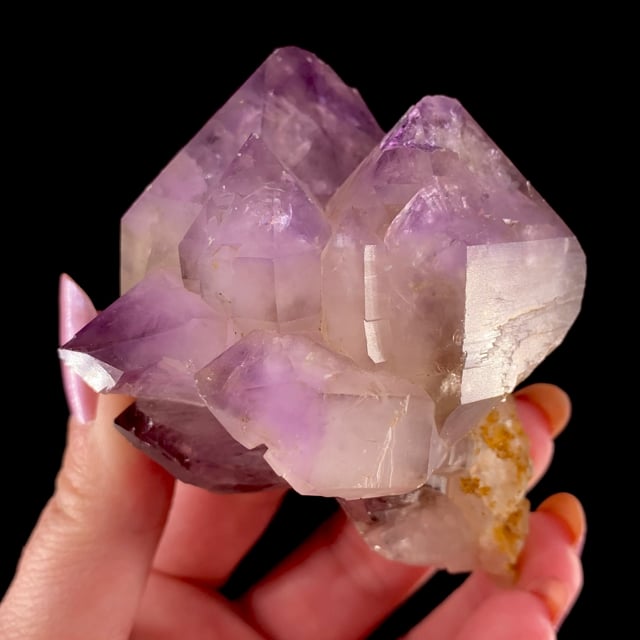 Quartz var: Amethyst (RARE locality specimen) | H. D. Hodge Farm, Rice ...