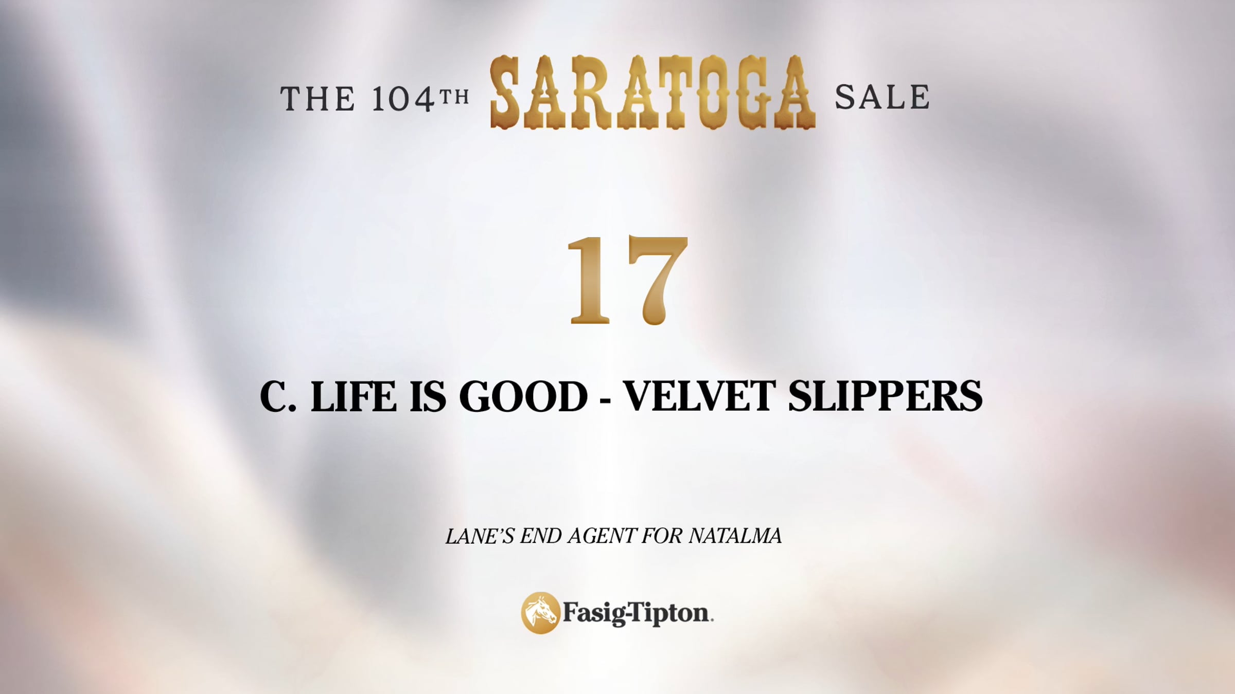 Hip 17 - FT Saratoga Sale - colt by Life is Good - Velvet Slippers
