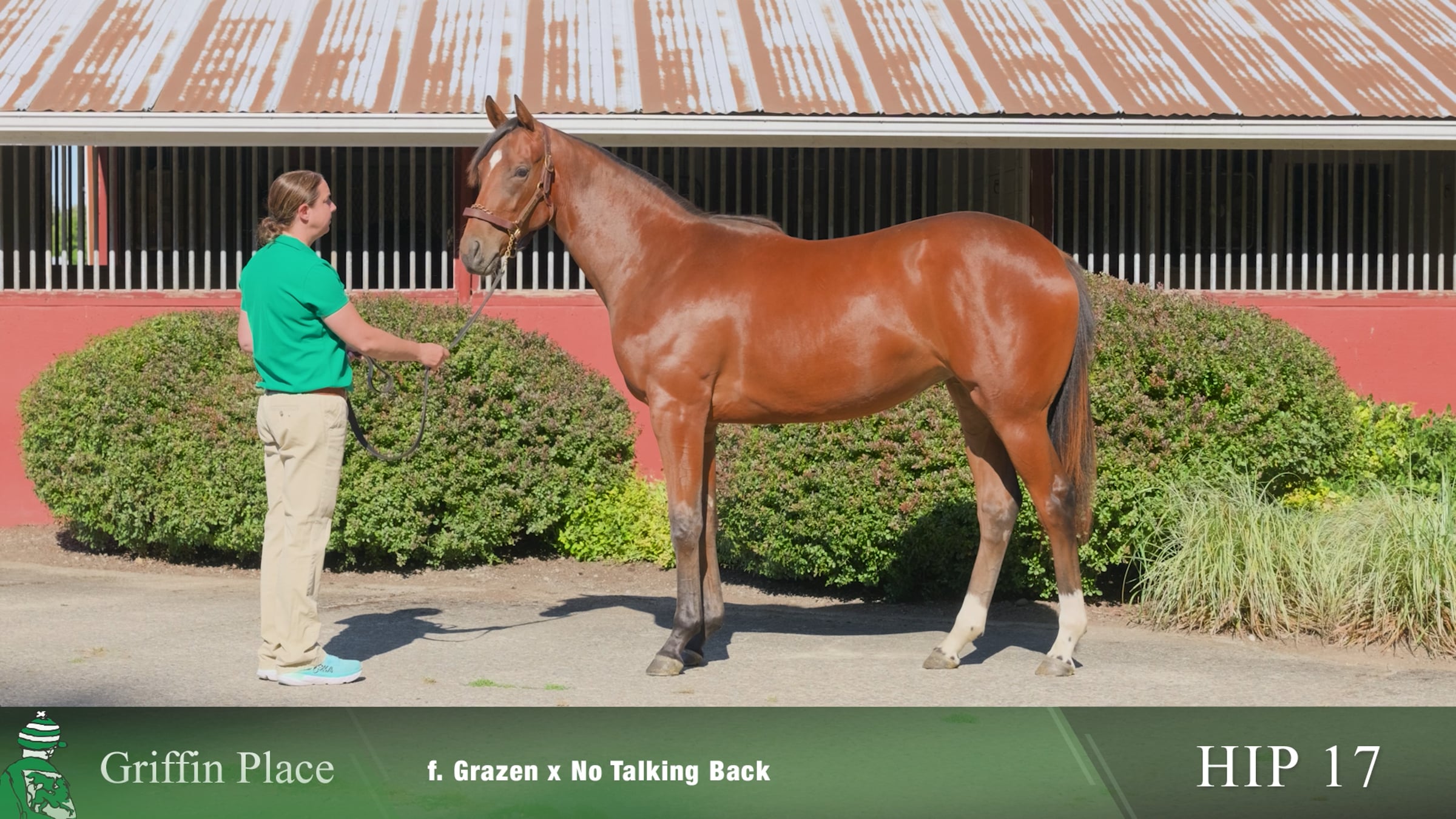 Hip 17 - f. Grazen x No Talking Back